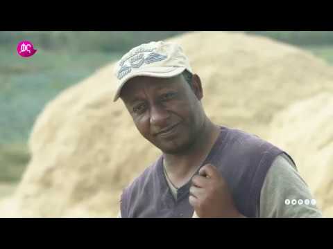 የኛ - የሁላችንም ታሪክ (Yegna) | ክፍል 7 - YouTube