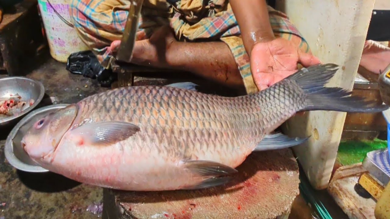 Incredible Giant Kali Baush Fish Cutting Skills In Bangladesh Local ...