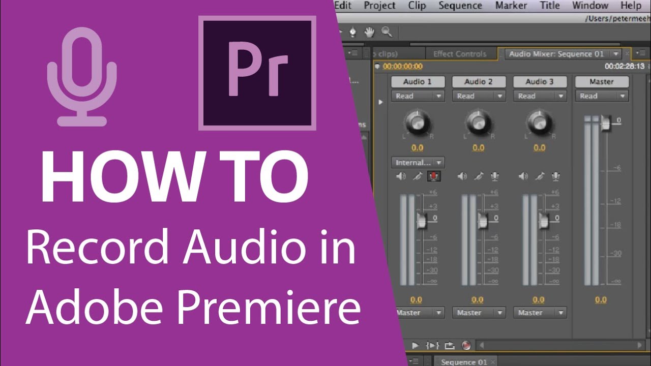 Premiere Pro CS5 - recording audio - Bigrockdesigns computer training ...