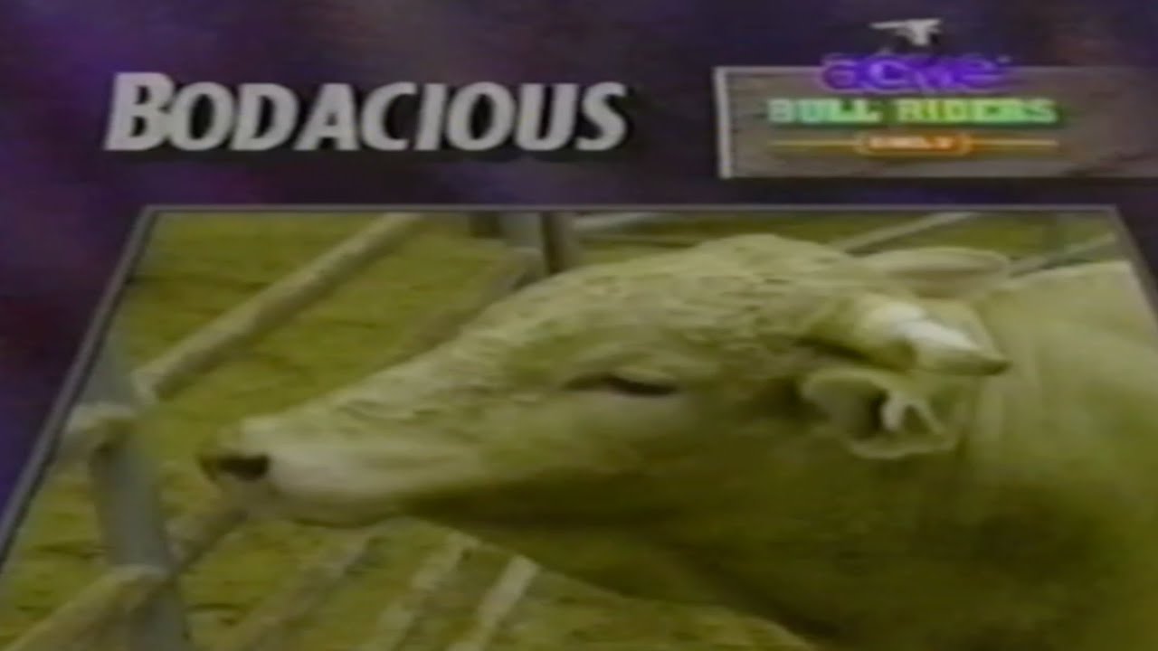 Bodacious (1996) — The Master of Disaster [VHS Rip / VHS DIgitization ...