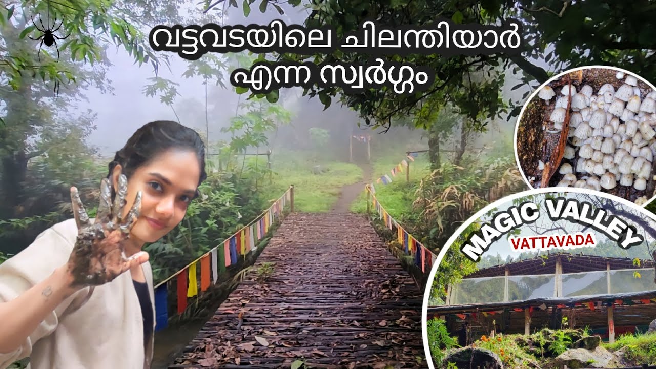 Magic Valley | Vattavada| റിസർവ്ഡ് ഫോറസ്റ്റിന് അടുത്ത് ഇങ്ങനെ ഒരു ...