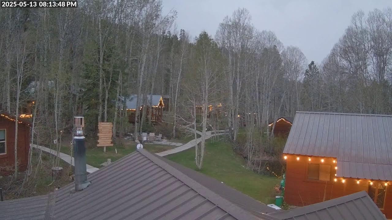 Live Leaf Cam - Desolation Hotel Hope Valley - YouTube