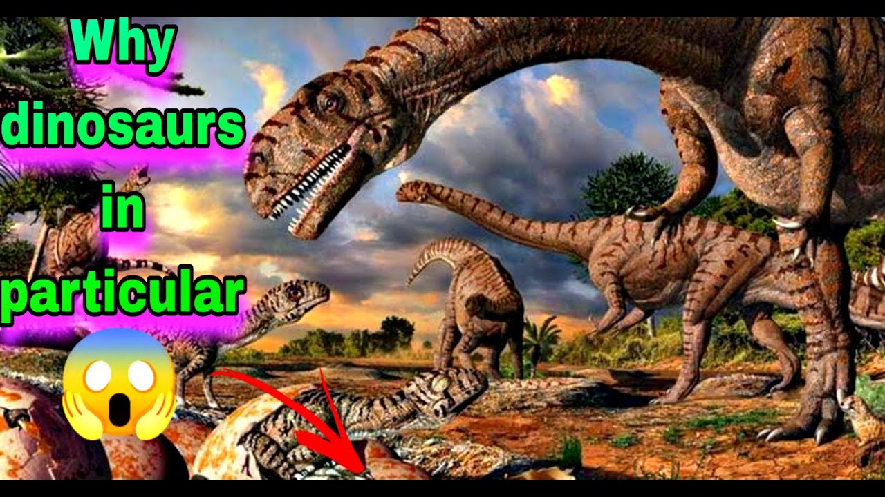 How did animals survive extinction with the extinction of the dinosaurs ...