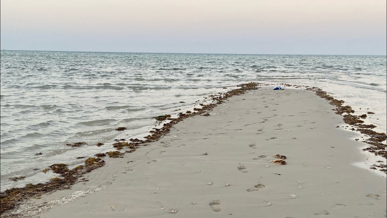 Beauty Of Al Wakra Beach At Low Tide - YouTube