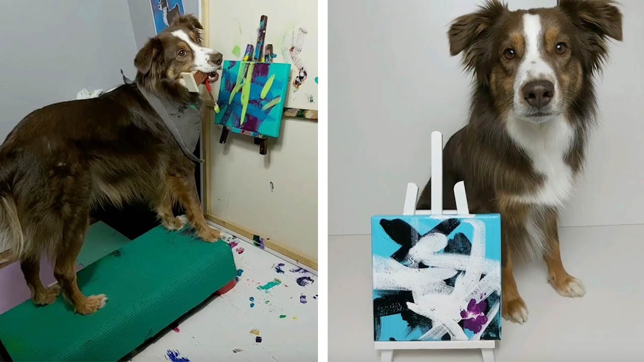 Talented Dog Paints Amazing Portraits - YouTube