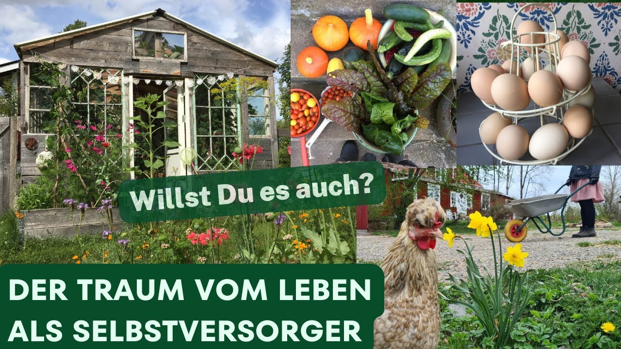 Der Traum vom Leben als Selbstversorger - willst Du es auch? - YouTube