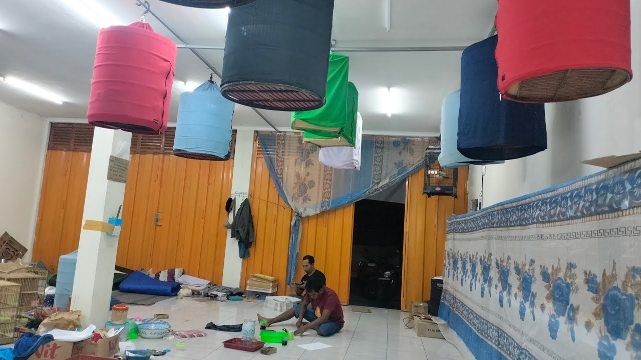 Umsa BF Pati sedang live! YOO KITA GAS LELANG MURAI TROTOL SPLIT PANDA ...