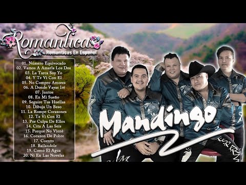 GRUPO MANDINGO EXITOS  SUS MEJORES CANCIONES DE GRUPO MANDINGO -  MIX ROMANTICAS 2022