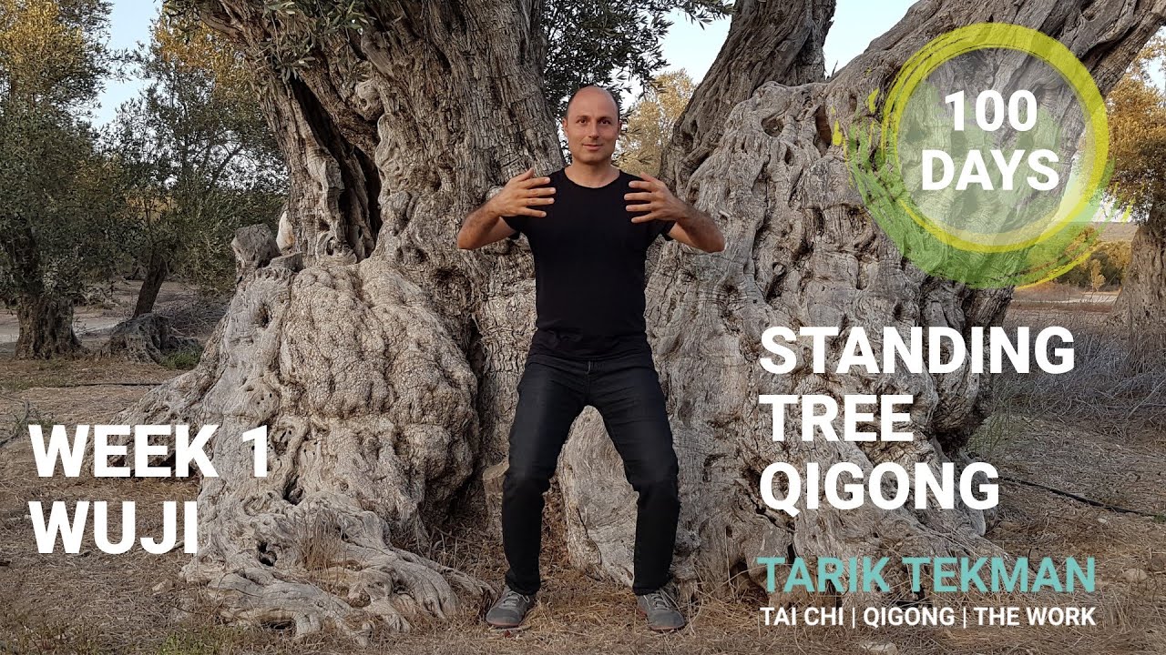 Standing Tree Qigong Week 1/15 Wuji - YouTube