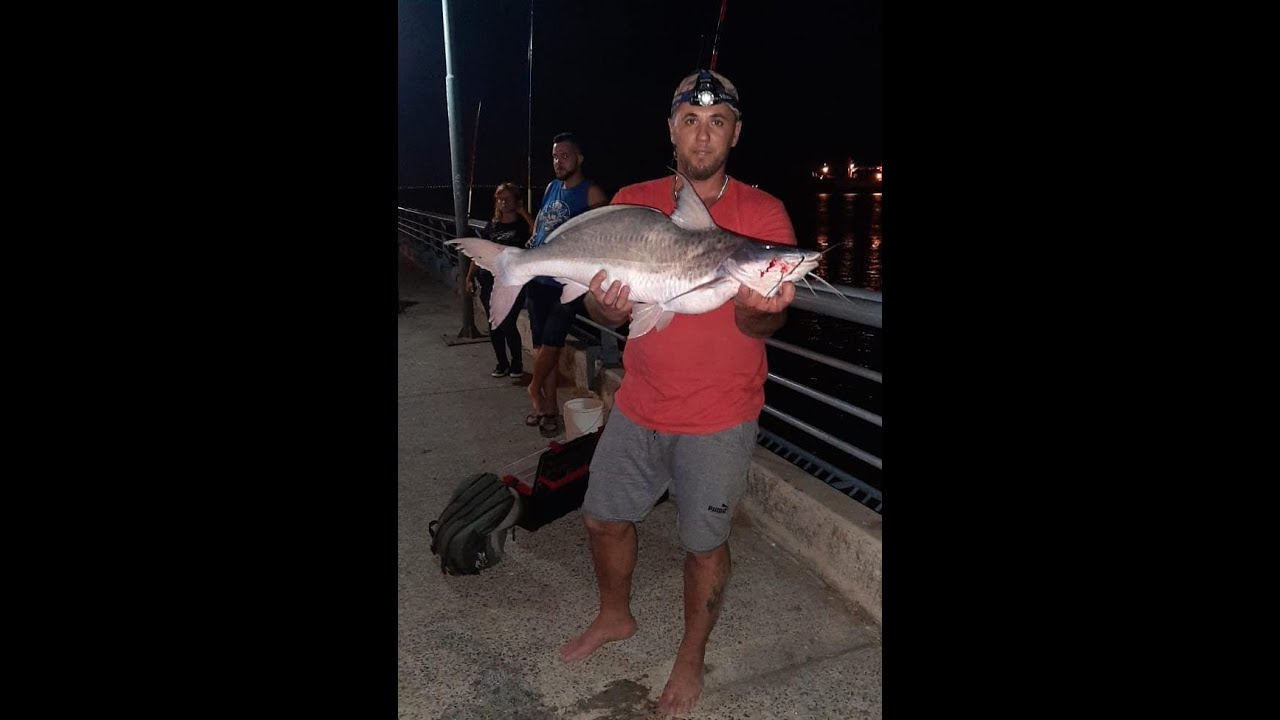 Pesca PATÍ 10kg - YouTube