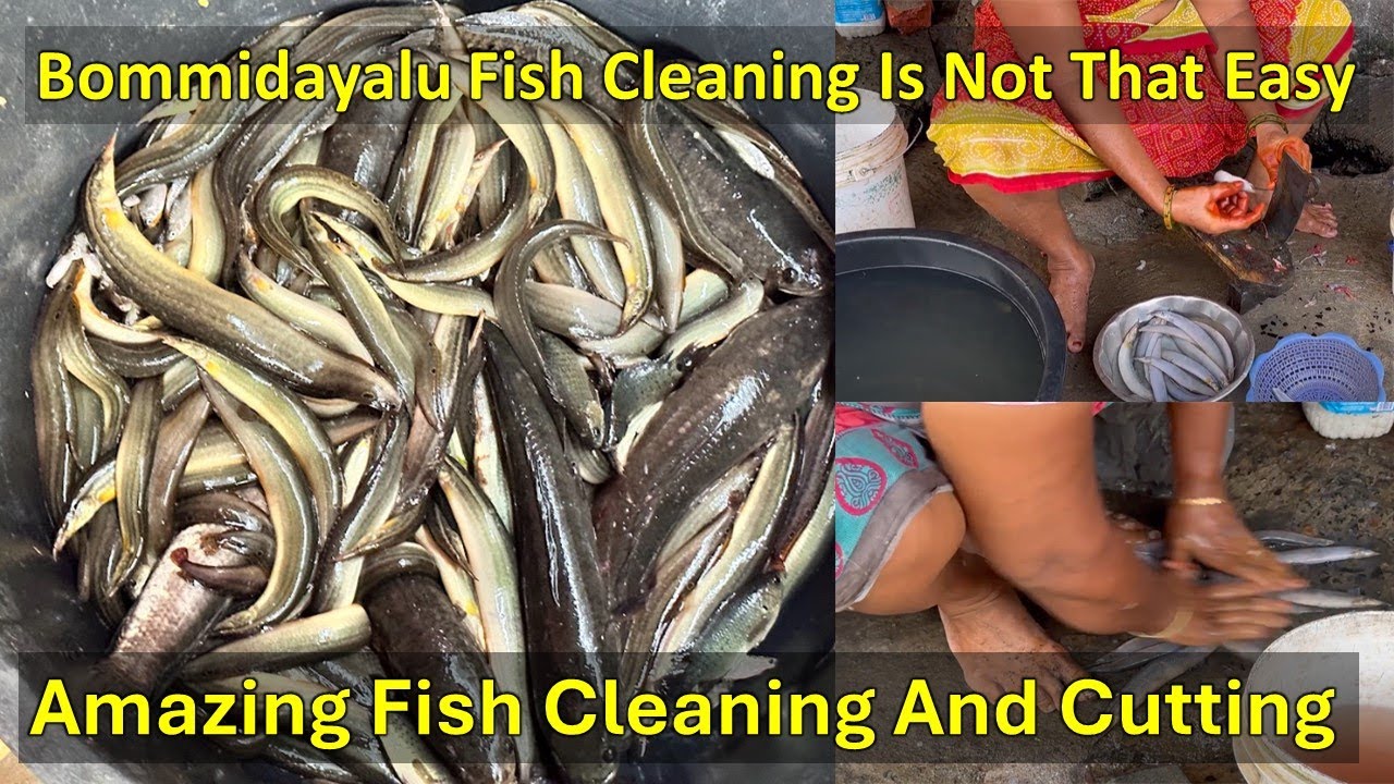 Fish Cleaning Is Not That Easy | Amazing Cutting Skills | Bommidayalu ...