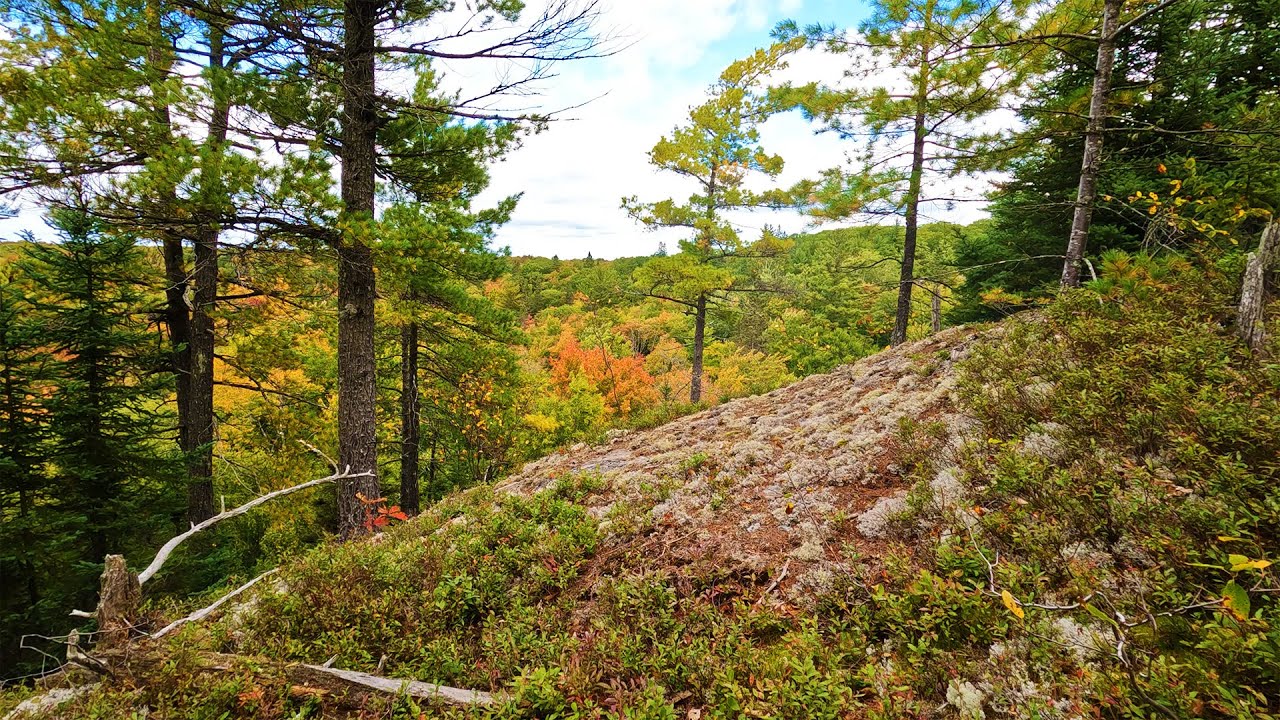 McCormick Wilderness Exploration Day 2 - Climbing the Acropolis - YouTube