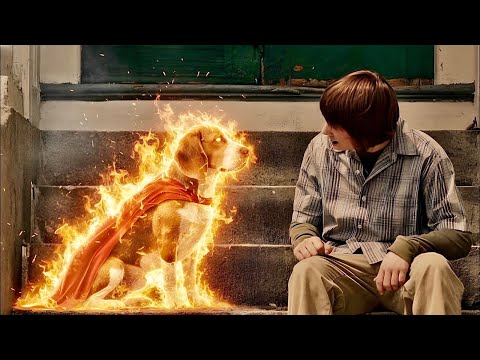 Underdog Movie Explain in Urdu |  Ajeeb Superpower Wala Dog… Jisne Pura Shehar Bachaya