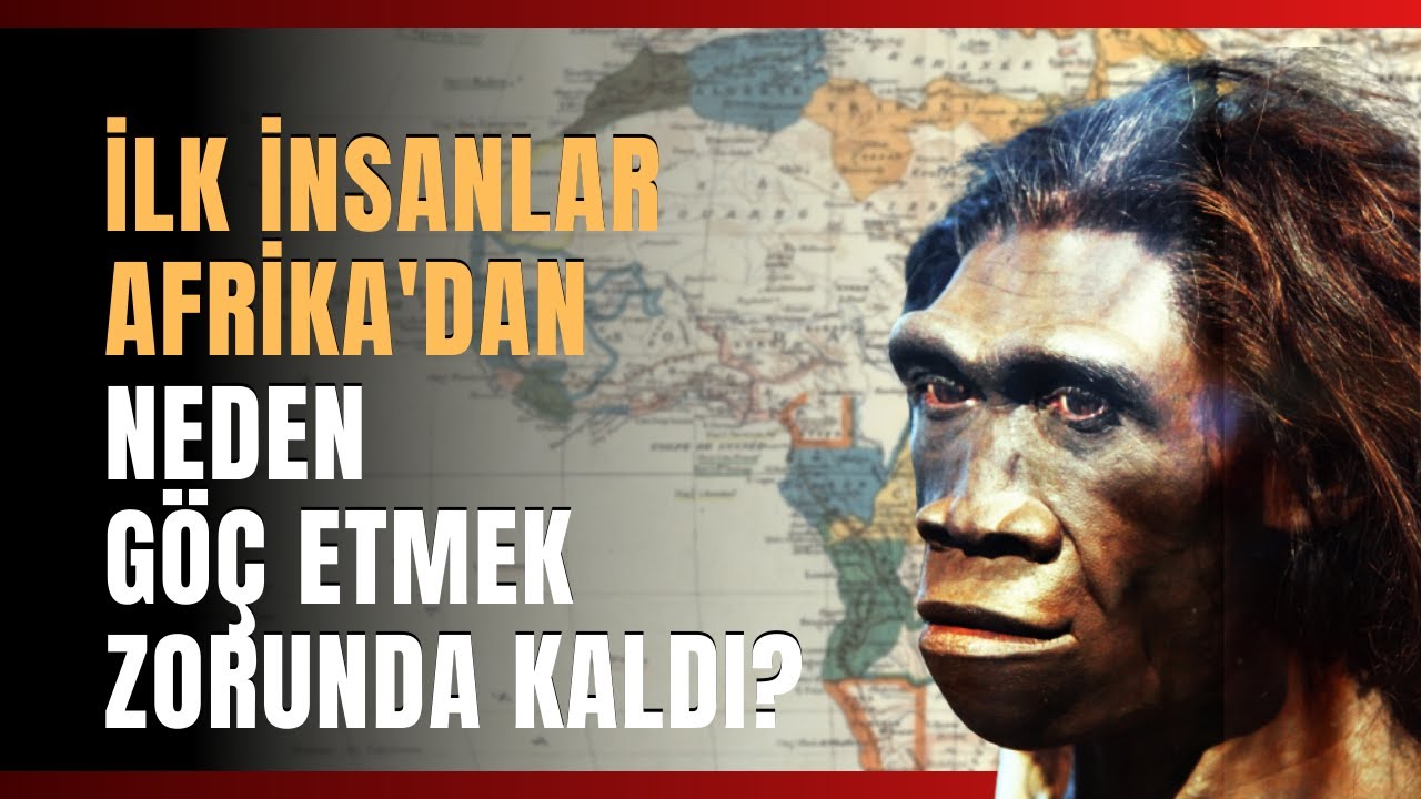 İlk İnsanlar Afrika'dan Neden Göç Etmek Zorunda Kaldı? - YouTube