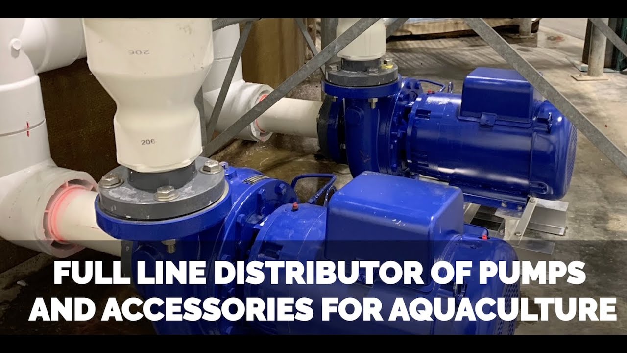 Aquaculture Pumps & Accessories - IAS, Inc. - YouTube