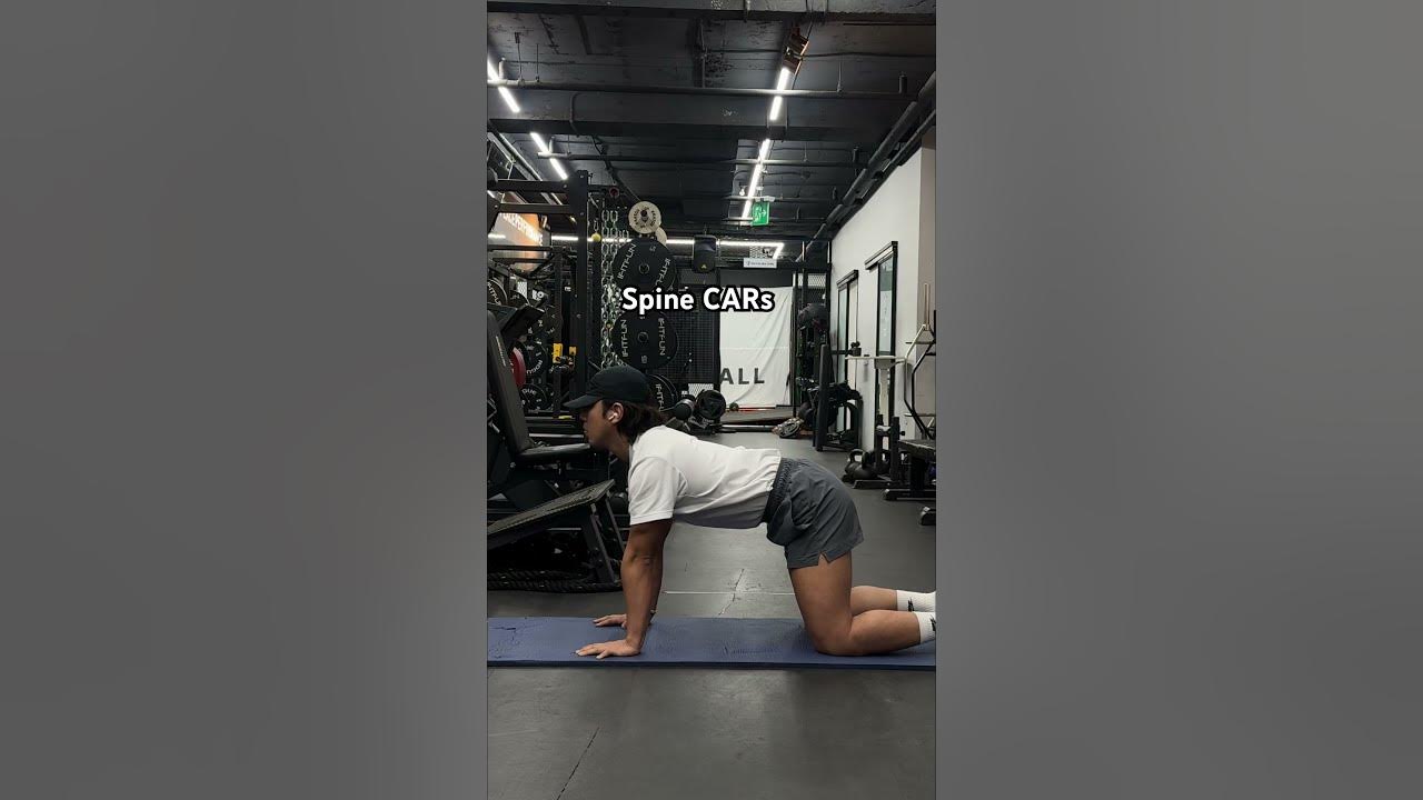 Spine CARs (Controlled Articular Rotations) - YouTube