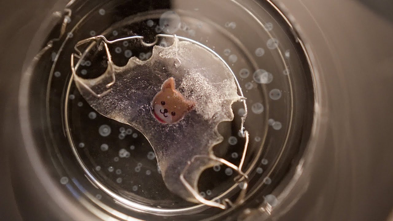 How To Clean Your Retainer (SATISFYING) - YouTube