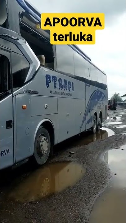 bus PT rapi APOORVA terluka. #busrapi #busrapiterbaru#short #youtubeshorts - YouTube