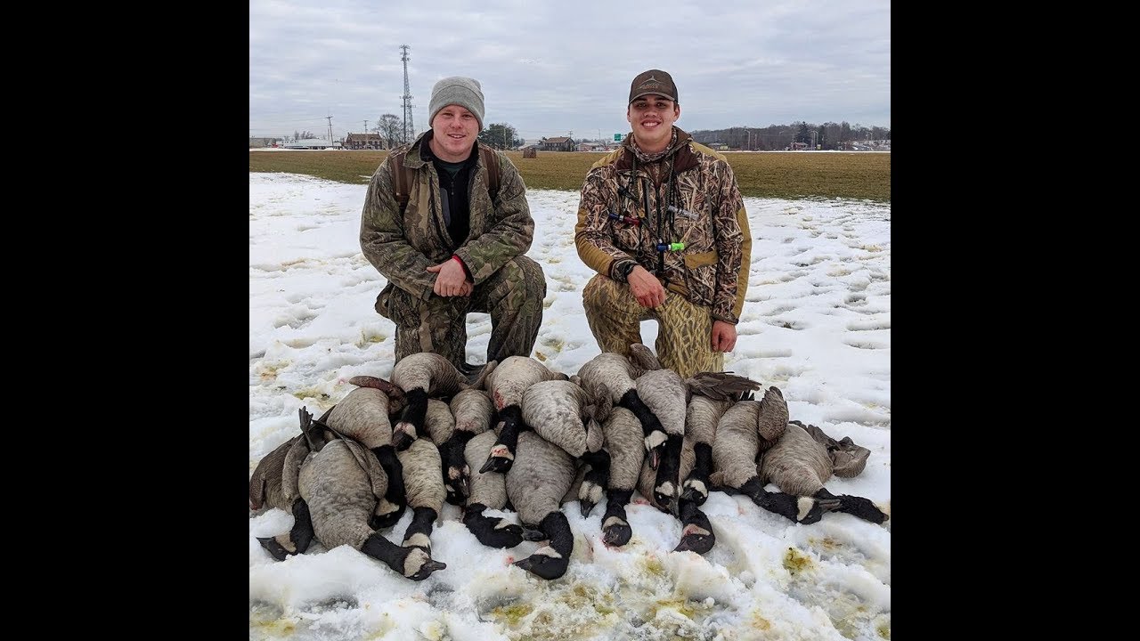 Canada Goose Hunting Two SIX-MAN LIMITS!!! - YouTube