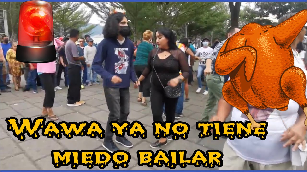 El wawa bailando con su parejita miren que coketo se mira 😎🤓 - YouTube