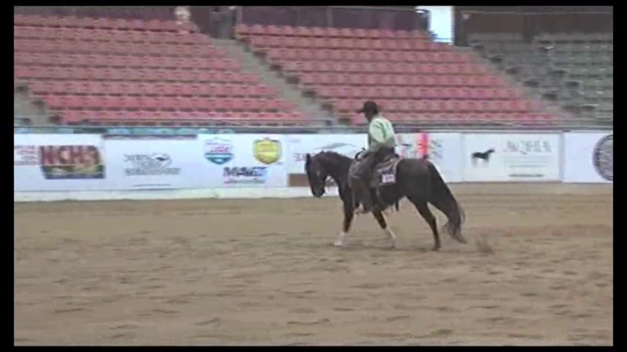Dr Smarty 2010 stallion by Smart Little Lena for sale - YouTube