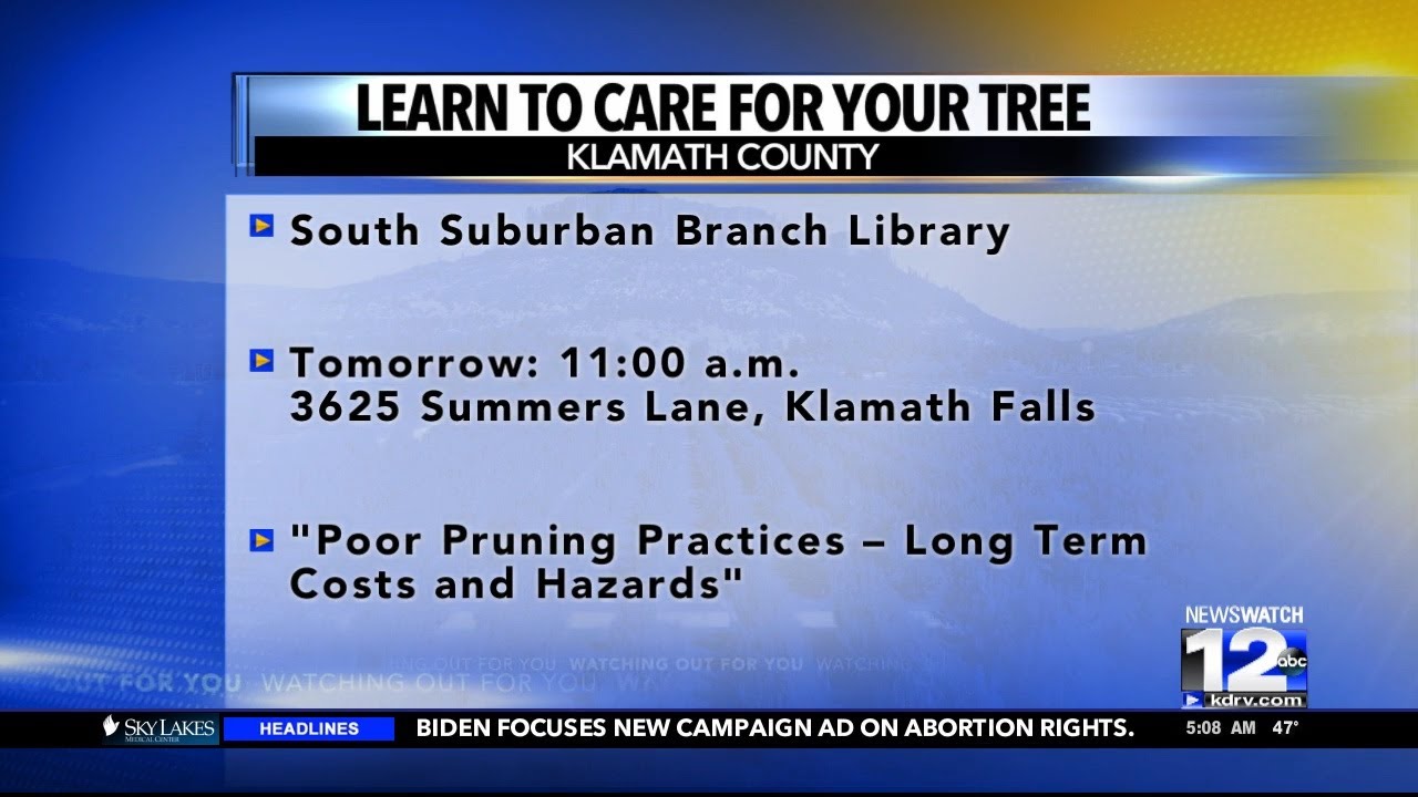 Klamath County library hosting workshop on tree care - YouTube