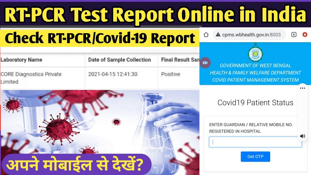 How to check rt pcr report online West Bengal | rt pcr test report ...
