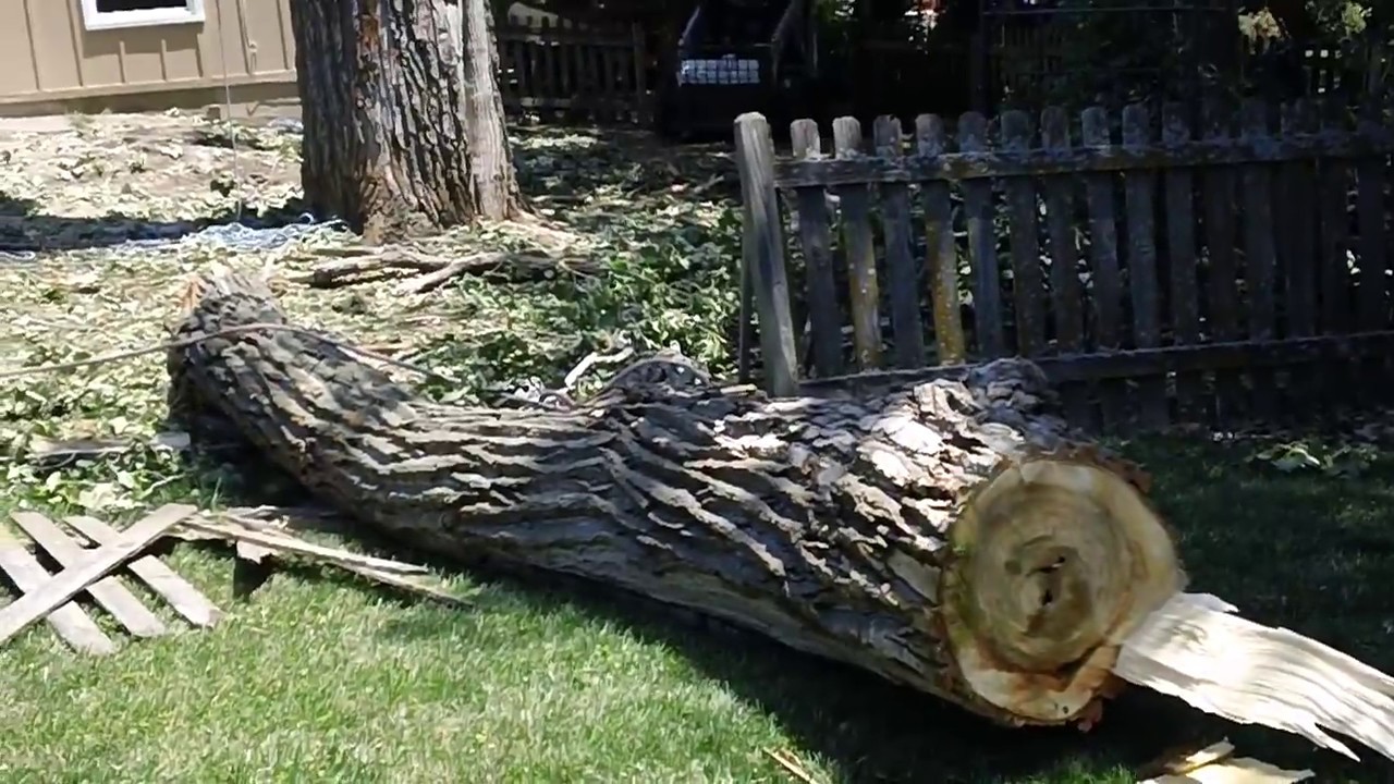 FAIL!!! Huge tree limb takes out fence! - YouTube