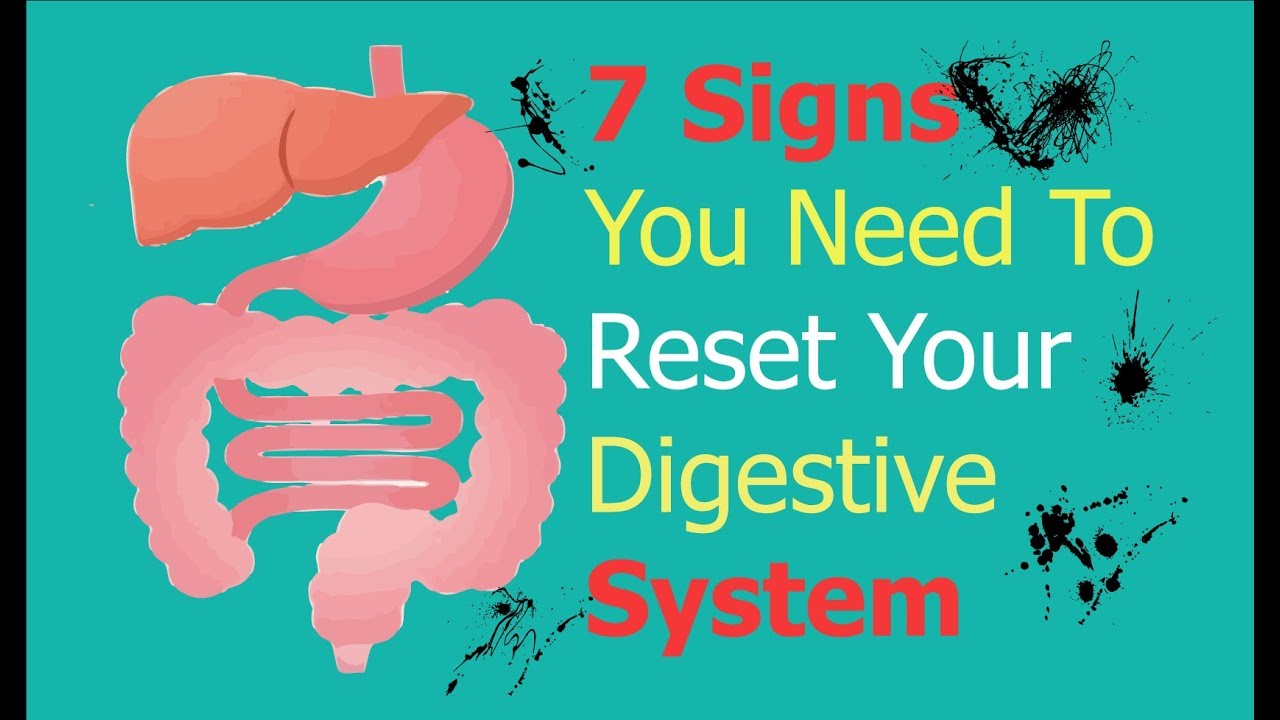 7 SIGNS YOU NEED TO RESET YOUR DIGESTIVE SYSTEM - YouTube