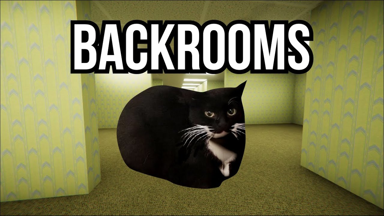 Maxwell the cat in the Backrooms - YouTube