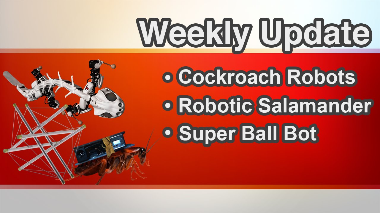 Cockroach Robots | Robotic Salamander | Super Ball Bot - YouTube