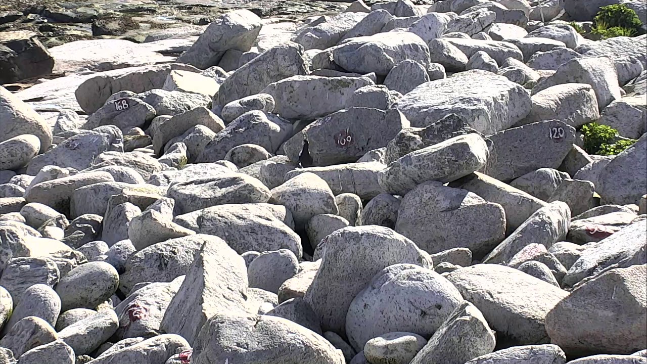 Puffin Boulder Berm Cam 05-21-2018 05:04:29 - 06:04:30 - YouTube