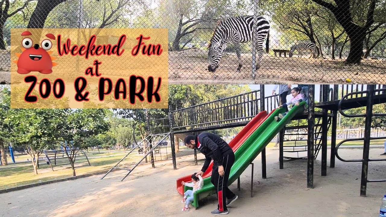 Weekend Fun at the Zoo and Park | #kidsstorybooktime #kidsvideos # ...