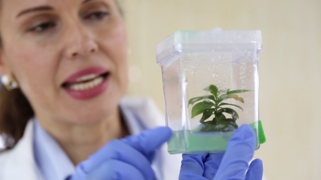 Video Institucional Agroinsumos - YouTube