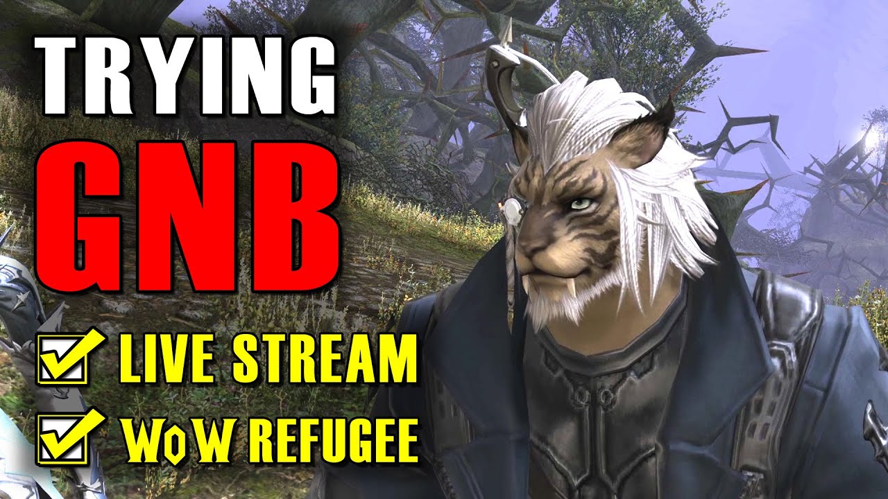 FFXIV Gunbreaker (GNB) job impressions | FFXIV Live Stream - SORRY ...