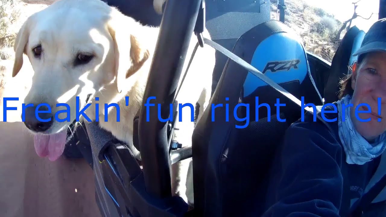 Jagger's Warrior Walk Trail Ride - YouTube