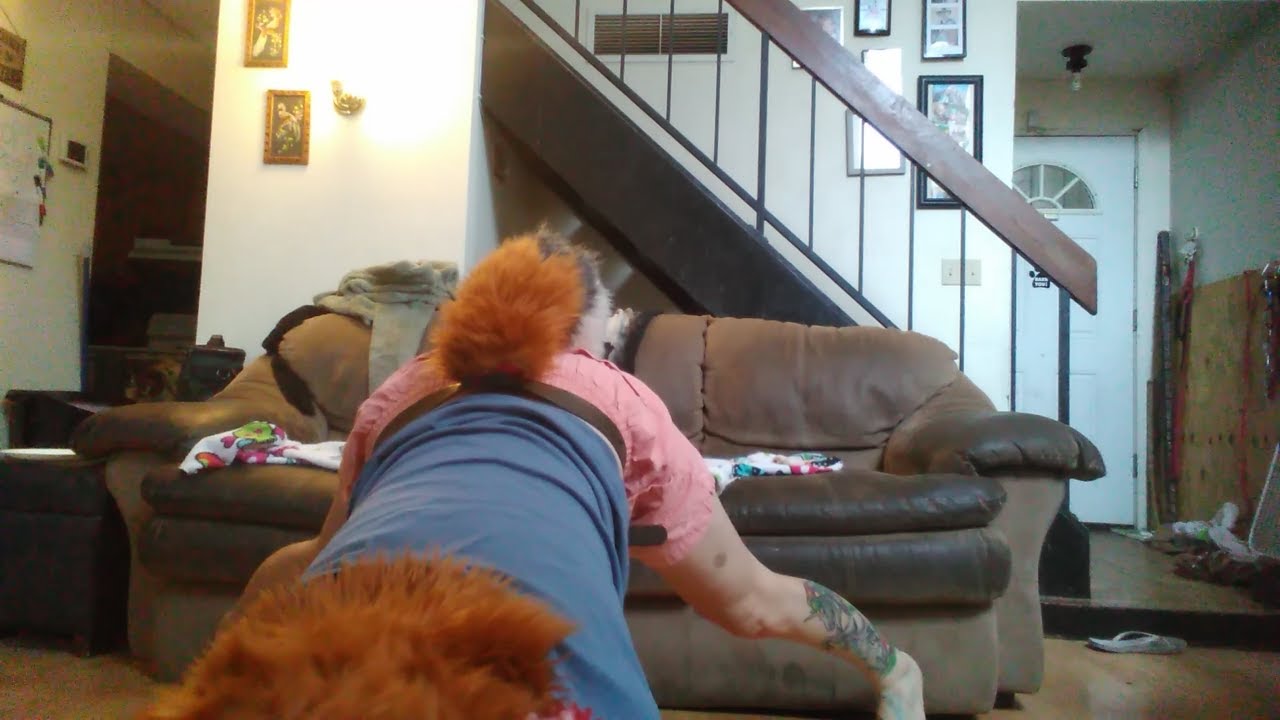 Furry Jack-o Challenge IRL - YouTube