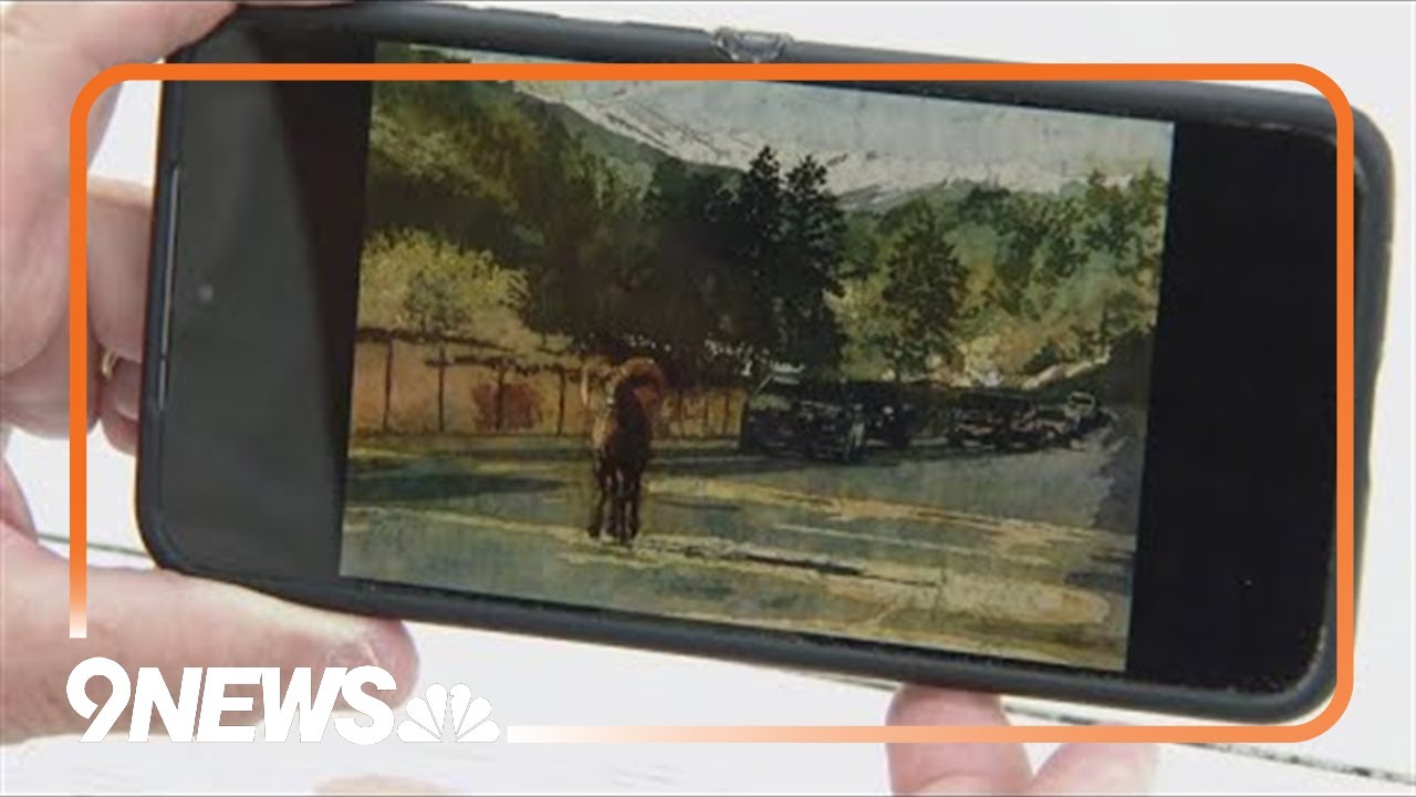 'It's gone' | Colorado artist's studio burns in Alexander Mountain Fire ...