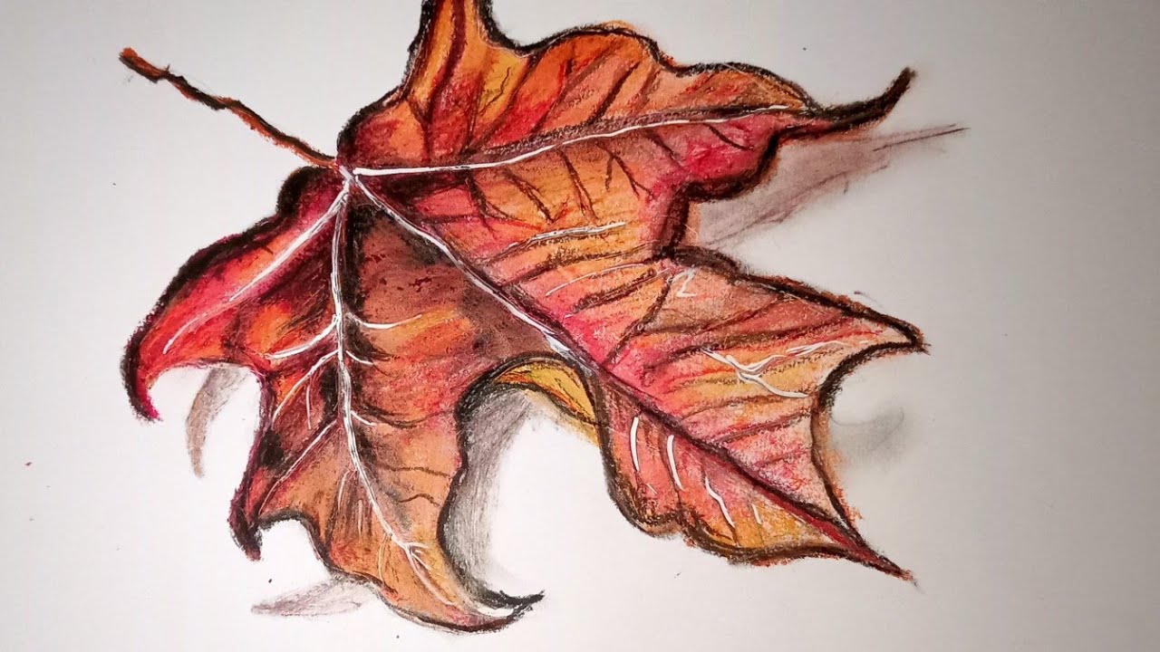Realistic Red Maple Leaf Drawing With Oil Pastel Colours. Step By Step ...
