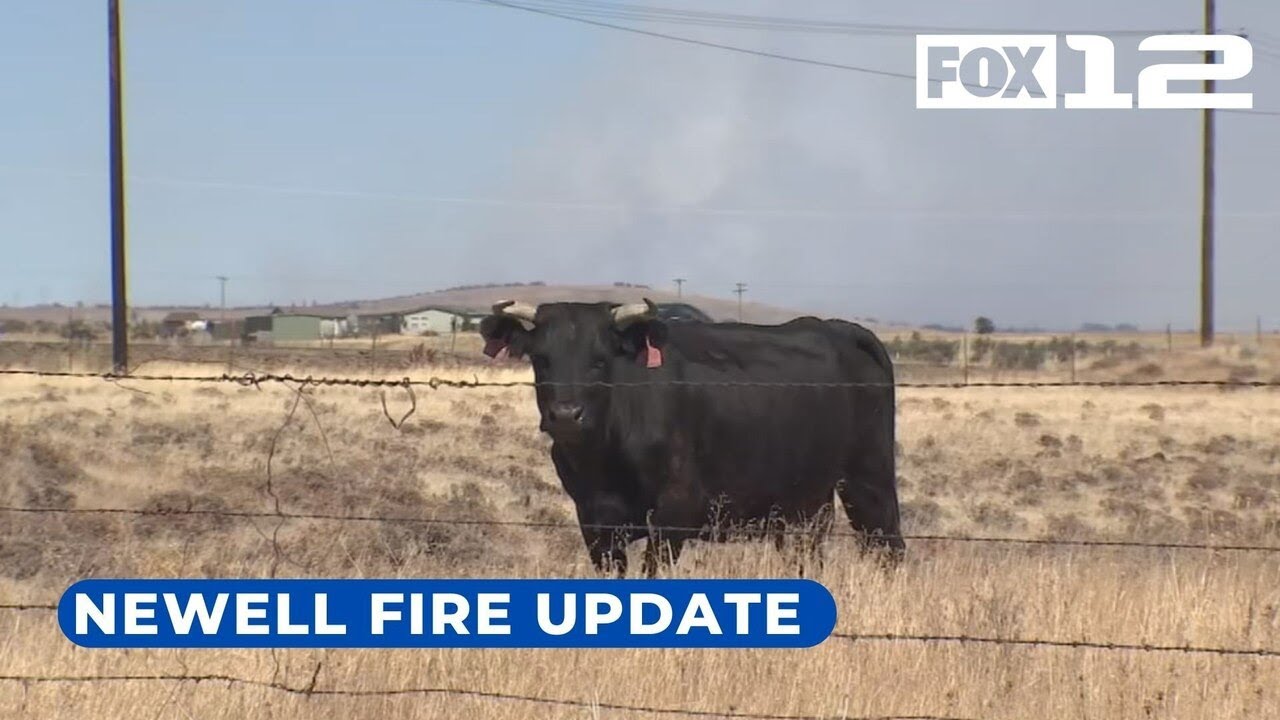 200+ structures threatened, homes destroyed in Newell Road Fire near ...