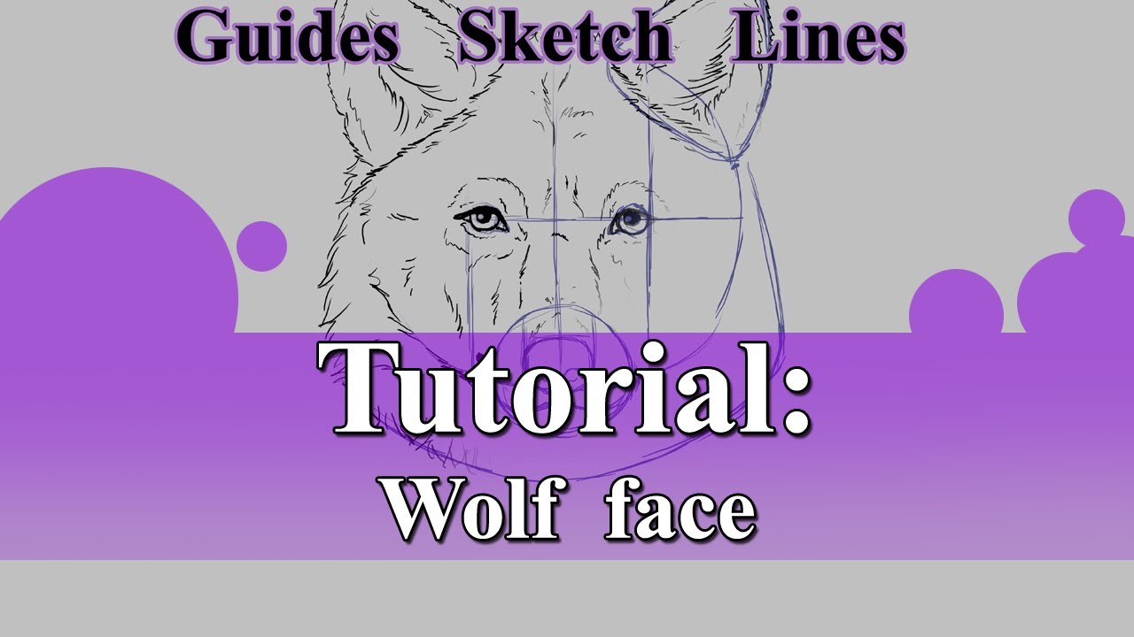 Wolf Portrait - Getting proportions right - Tutorial with voiceover ...