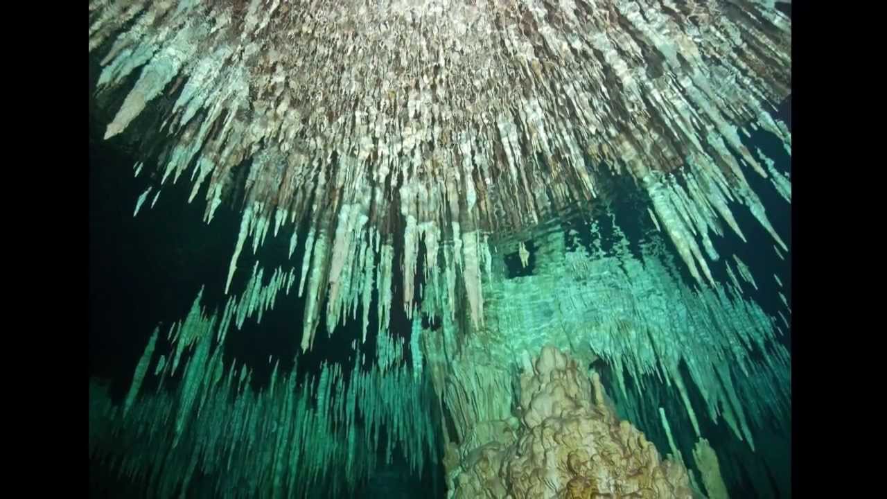 Cenote Dreamgate - Cave diving - Mexico - YouTube
