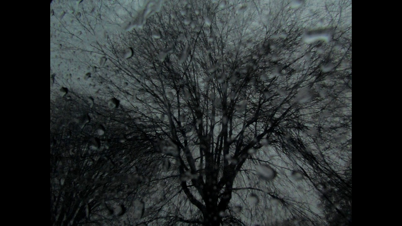 Caleb Long Freestyle 1 - YouTube