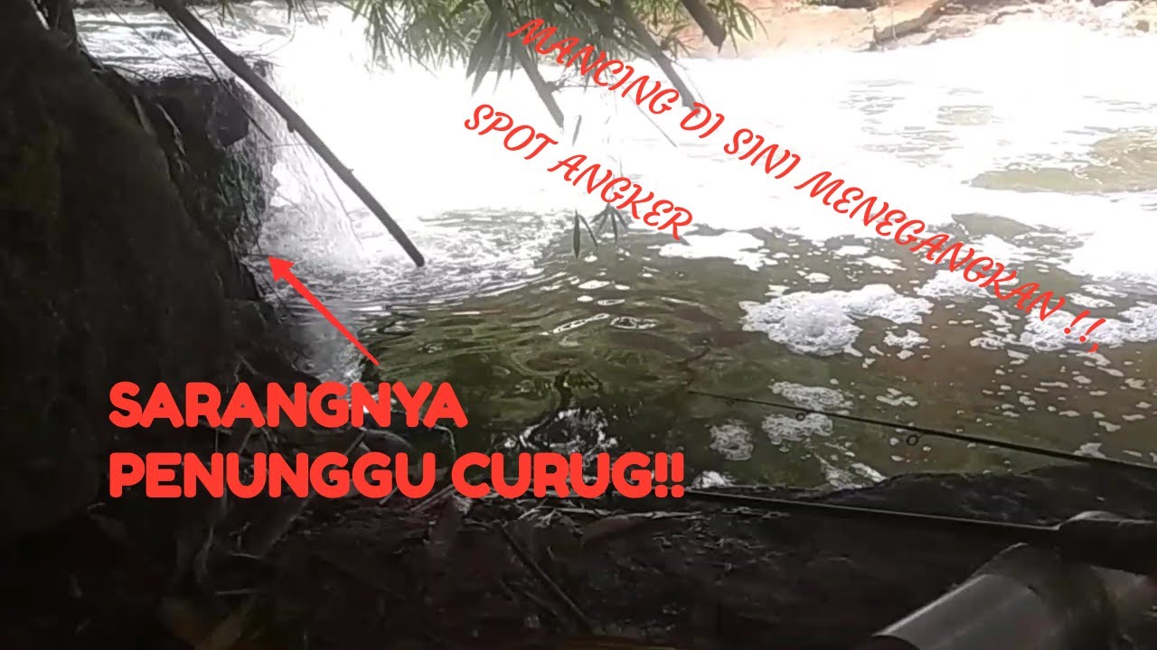 Mancing di Curug nganten !! Strike Penghuni Curug - YouTube