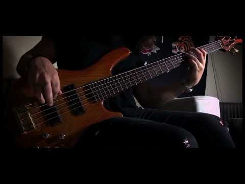 Barış Akarsu - Gel Gör Beni Aşk Neyledi ( Bass Gitar Cover )