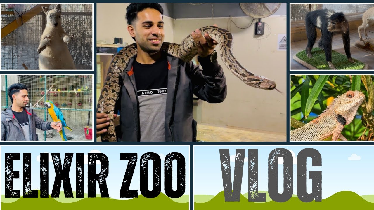 Aj Elixir Zoo Main Boht Maza Aya 😁| Elixir Zoo owner @jimmy-junaid ...