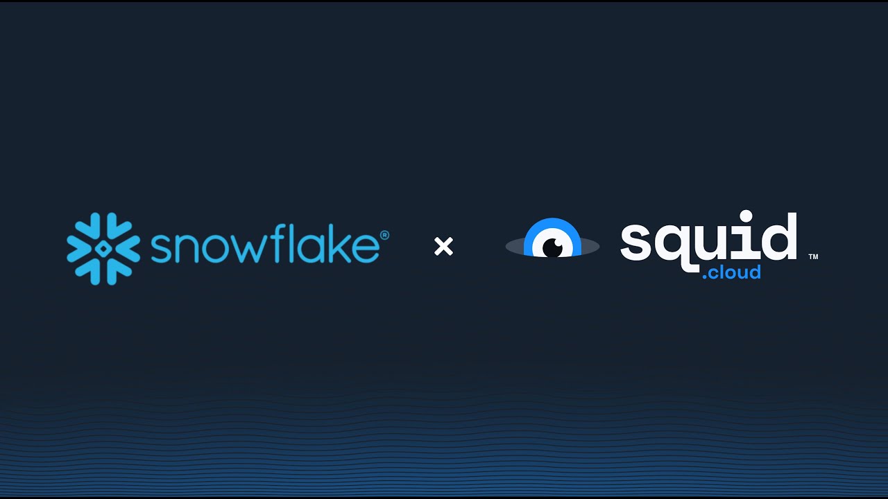 Squid Cloud, Snowflake, and CAMARA APIs - MWC'24 - YouTube