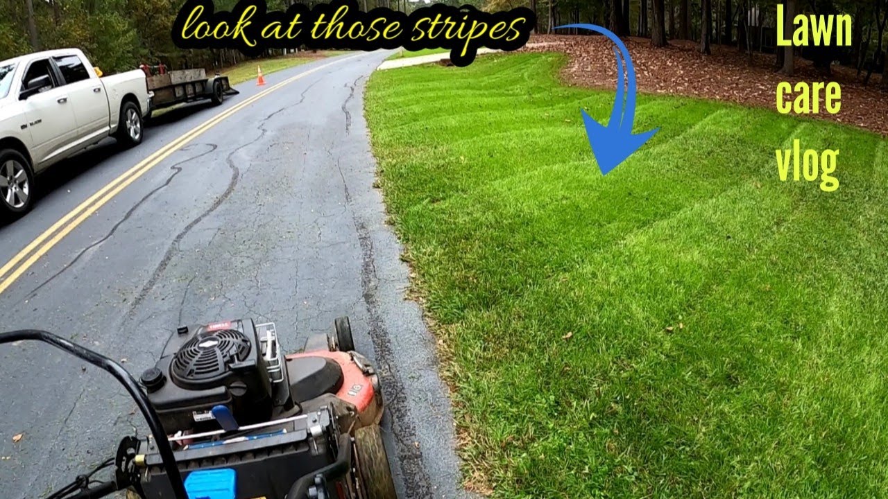 First day out with the jungle jim racks [Lawn care vlog] - YouTube
