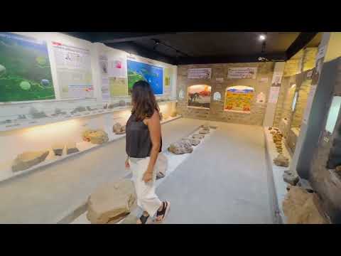 Kamana Misra in the Tethys Fossil Museum