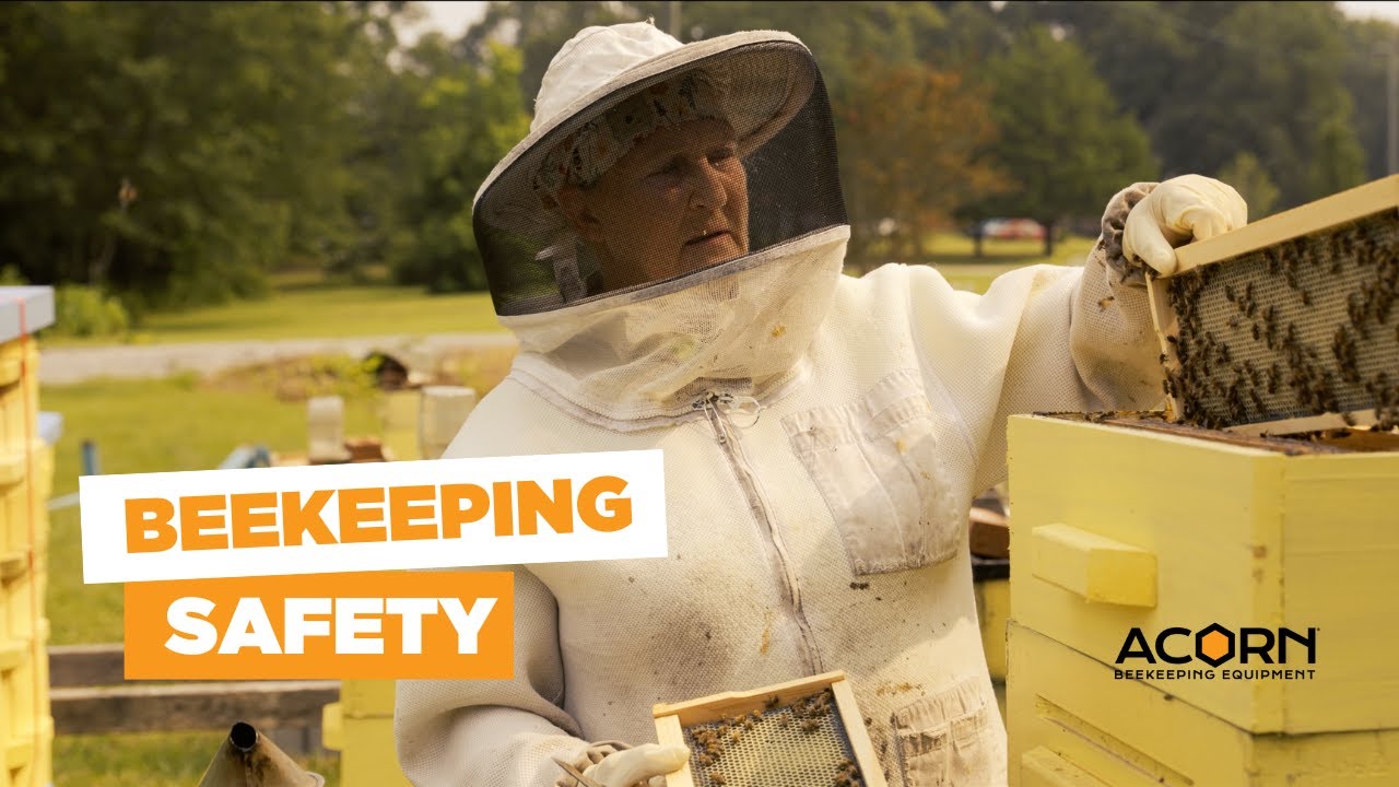 Beekeeping Safety | Acorn Beekeeping Equipment - YouTube